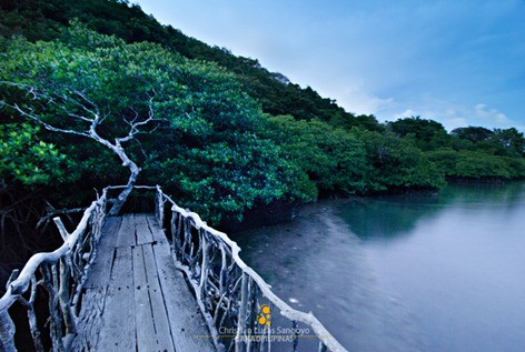 PALAWAN | Sultry Nights at Coron’s Maquinit Hot Springs - Lakad Pilipinas